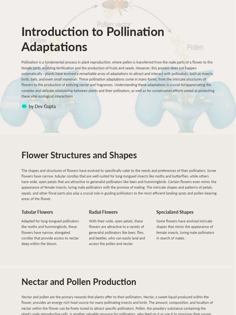 Pollination Adaptations in Plants | PDF | Pollinators | Flowers