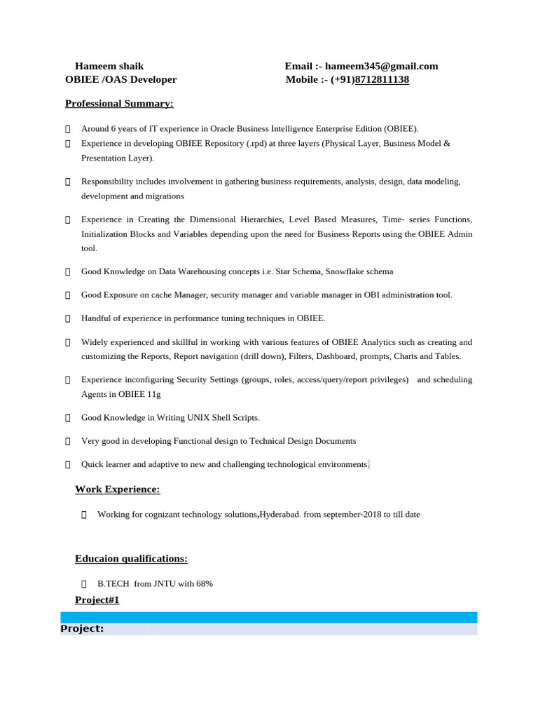 Hameem resume | PDF | Point Of Sale | Metadata