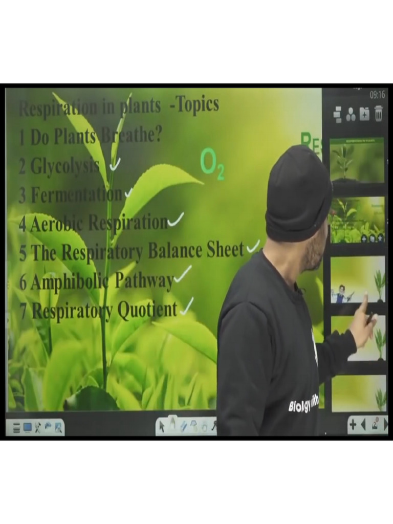 Respiration in Plants | PDF