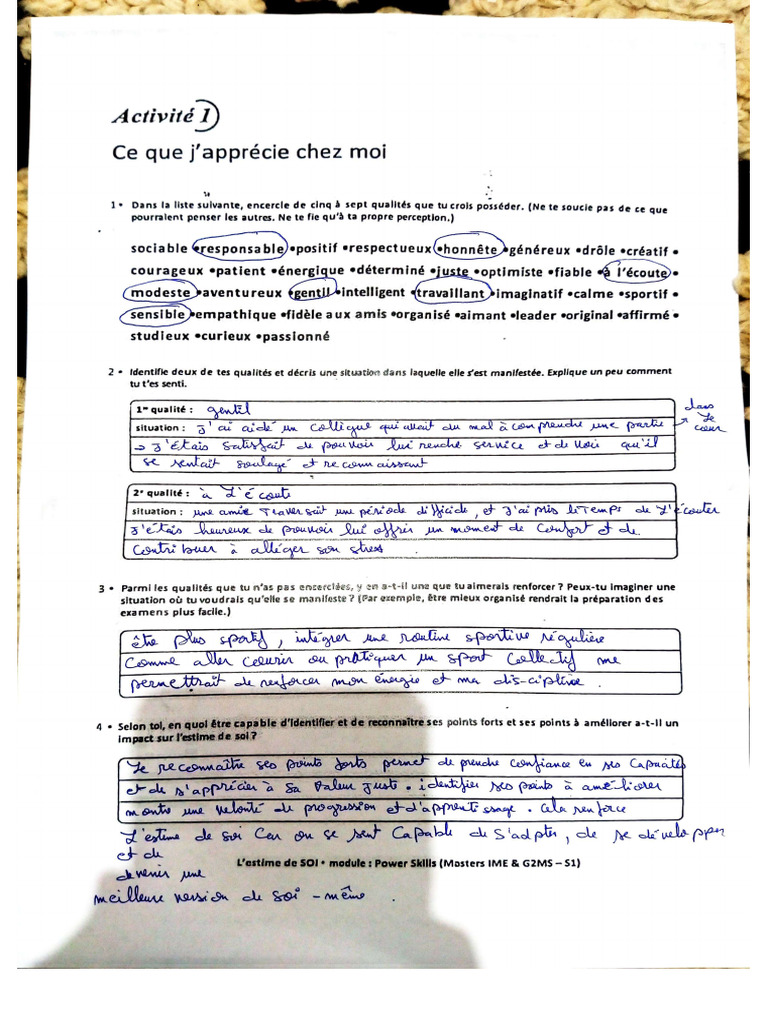 ACE Scanner_2025_01_05 | PDF