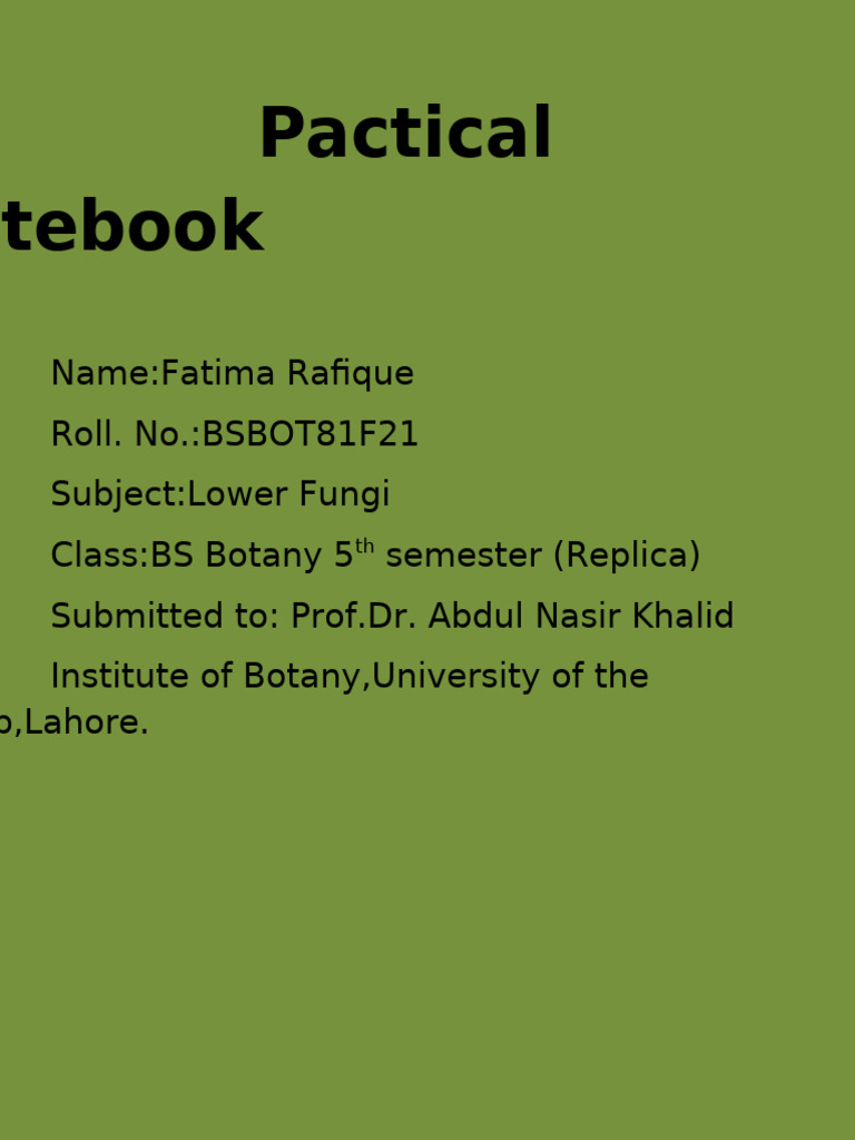 Lower Fungi Study Guide | PDF