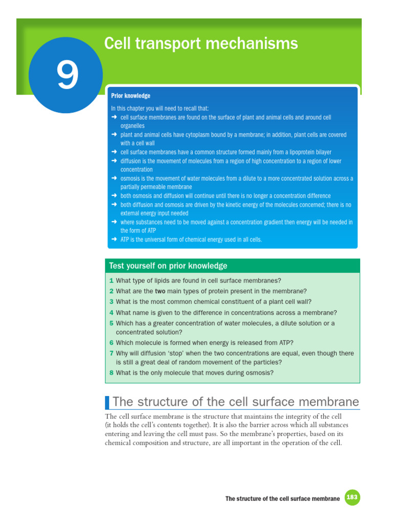 READING MATERIAL 2 - CELL TRANSPORT MECHANISMS | PDF | Cell Membrane | Adenosine Diphosphate