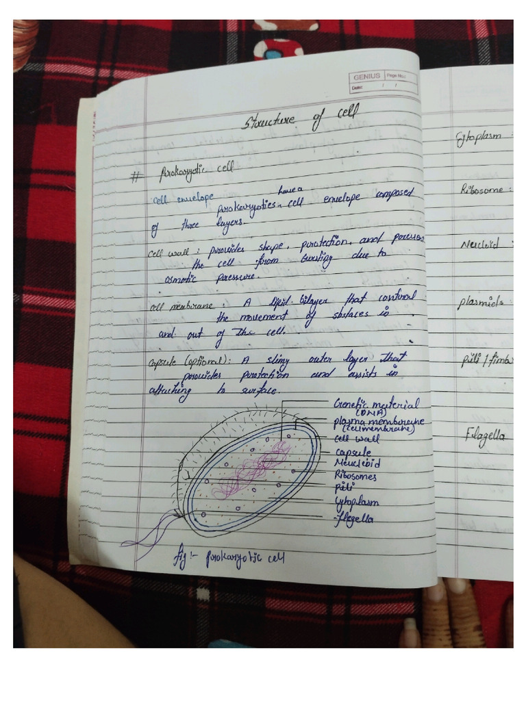 Structure of Cell (4th Topic) | PDF