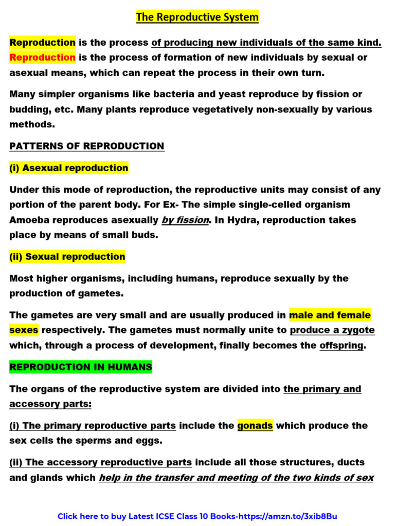 The Reproductive System | PDF | Menstrual Cycle | Reproduction