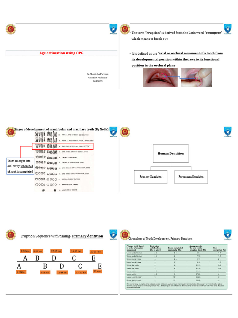 Age estimation 1 | PDF | Tooth | Human Tooth