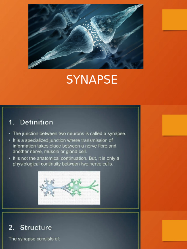Lec 3 Synaptic Transmission | PDF | Acetylcholine | Dopamine