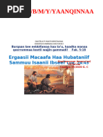 Leenjii Lallabdoota Wangeelaa | PDF