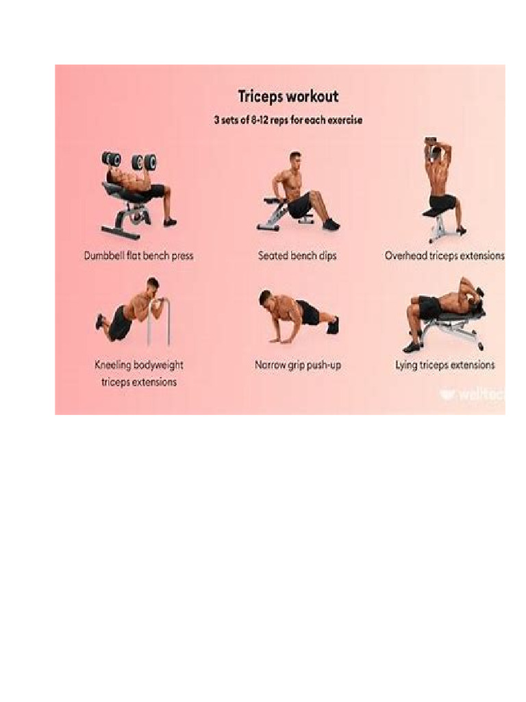 Triceps Exercises - Workout | PDF