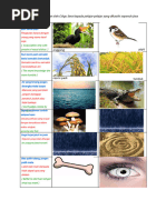 Sinopsis Novel Meniti Impian Osman Ayob | PDF
