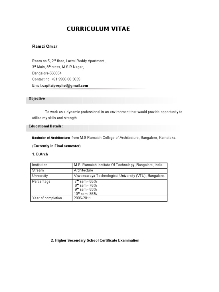 Ramzis Resume | PDF | Secondary School | Curriculum