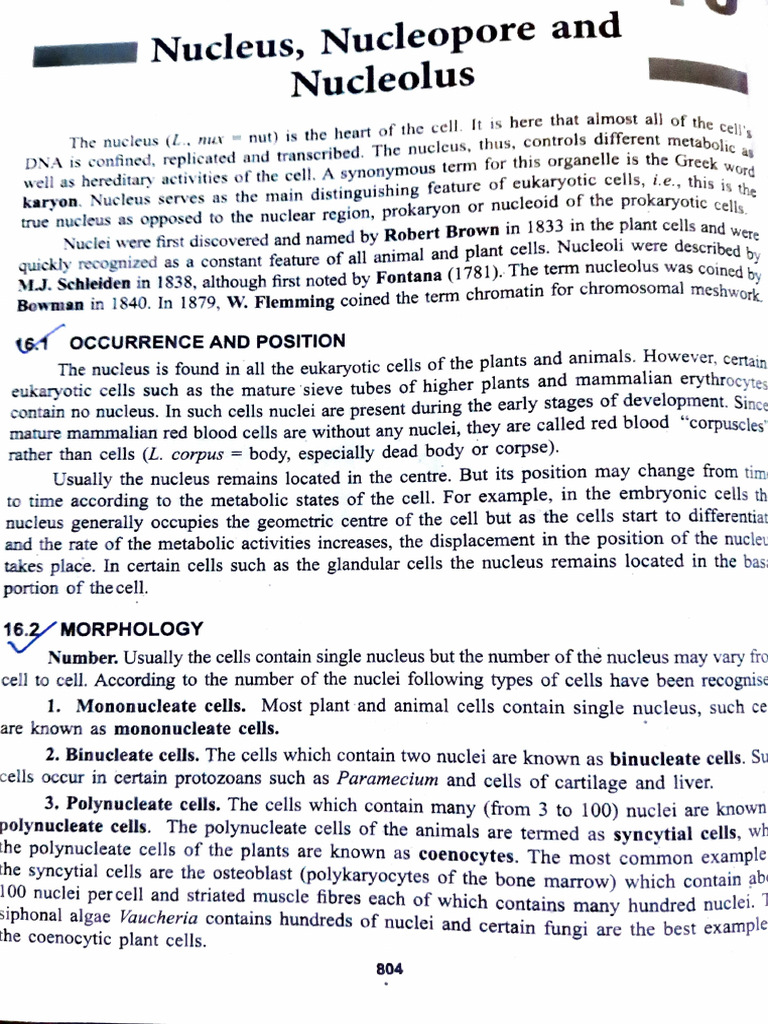 Nucleus Nucleopore Etc | PDF