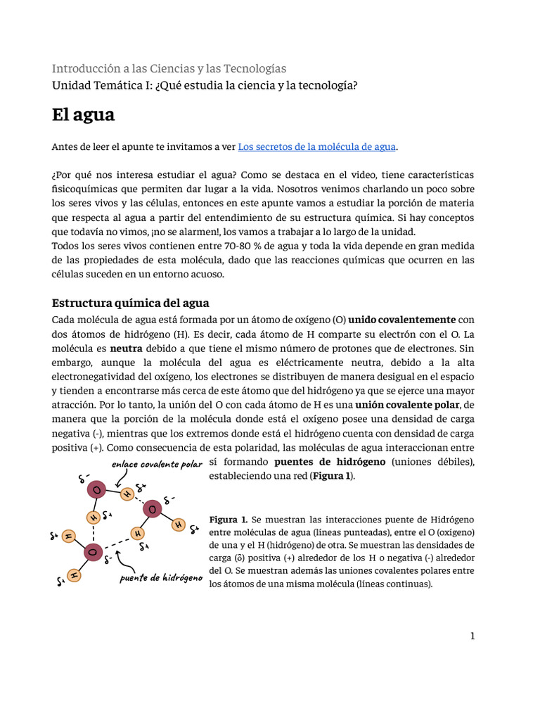 U1.S1 - El Agua | PDF | Propiedades del agua | Polaridad química