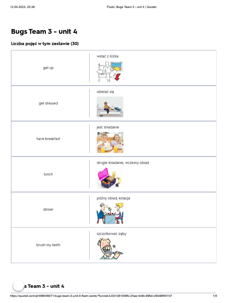 Fiszki Bugs Team 3 - Unit 4 Quizlet | PDF