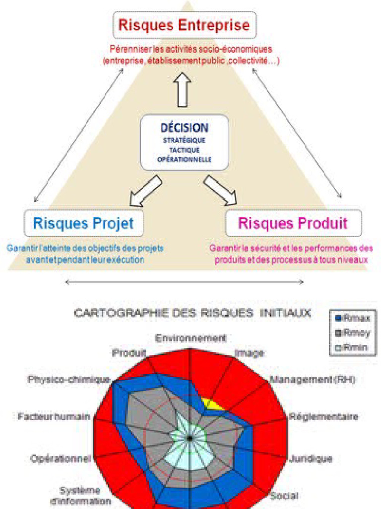Cartographie Des Risques | PDF | Risque | Management de la qualité