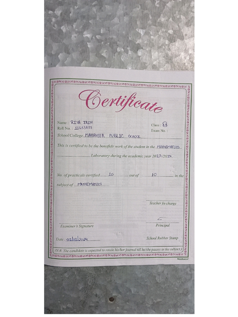 Maths Practical File (12th) | PDF