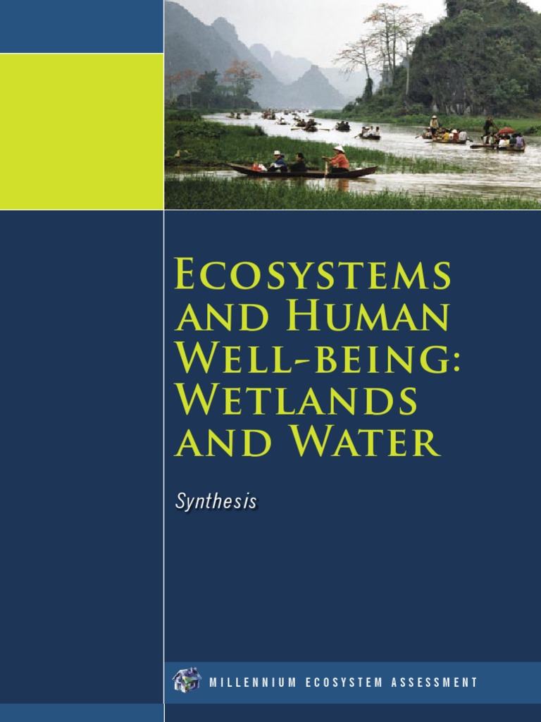 Ecosystems and Human Well-Being: Wetlands and Water: Synthesis | PDF ...