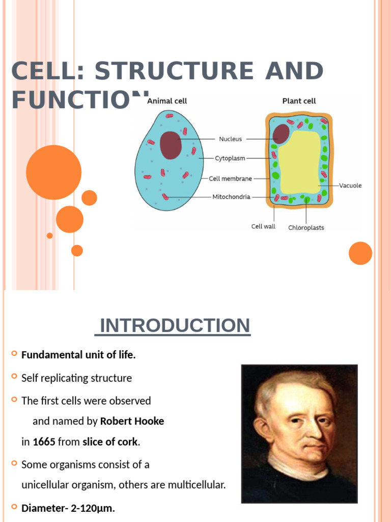 Cell Structure and Function Overview | PDF | Cytoplasm | Cell Membrane