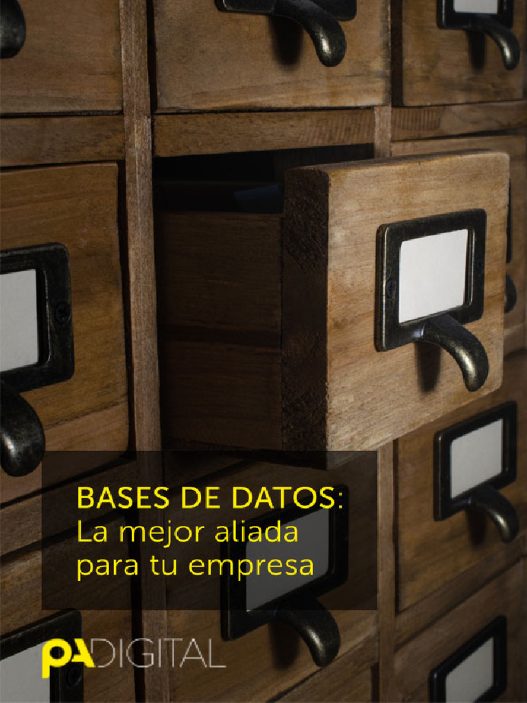 16 Bases de Datos para Tu Empresa | PDF | Marketing | Bases de datos