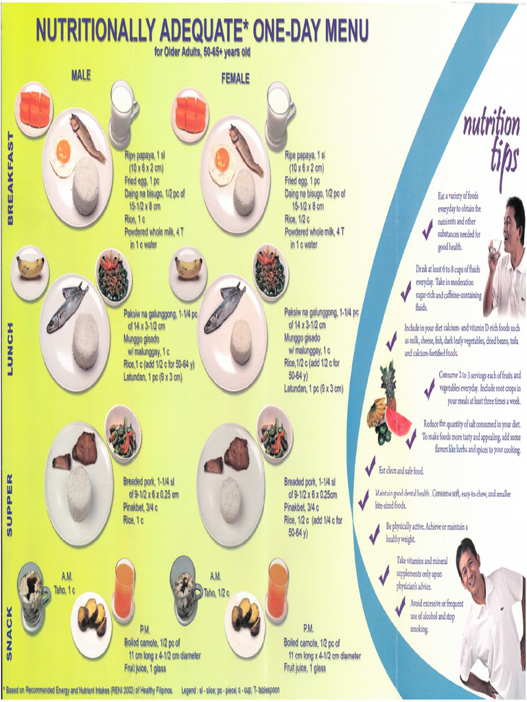 Older Adults 1 Day Pdf