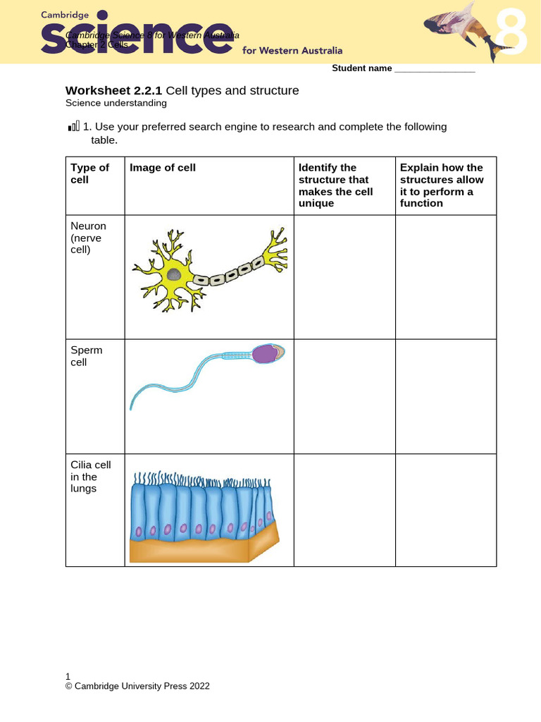 Worksheet 2 2 1 | PDF