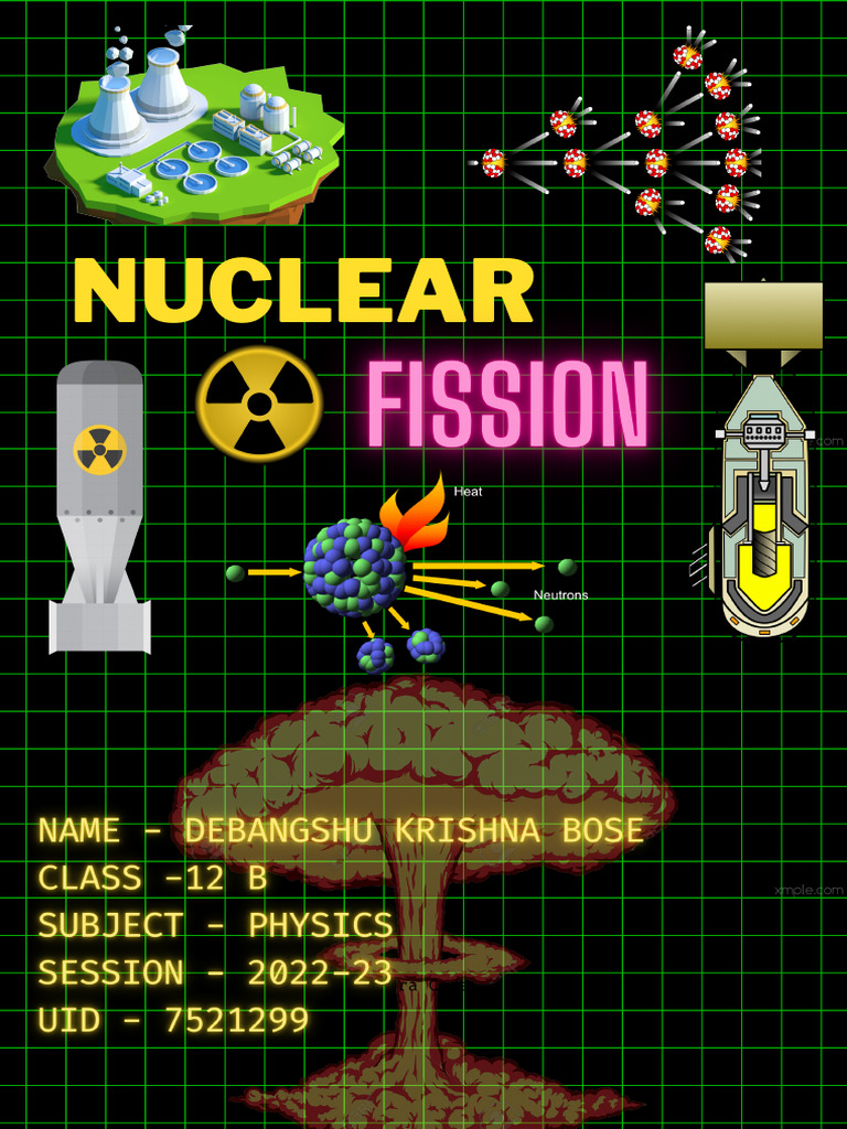 Understanding Nuclear Concepts | PDF