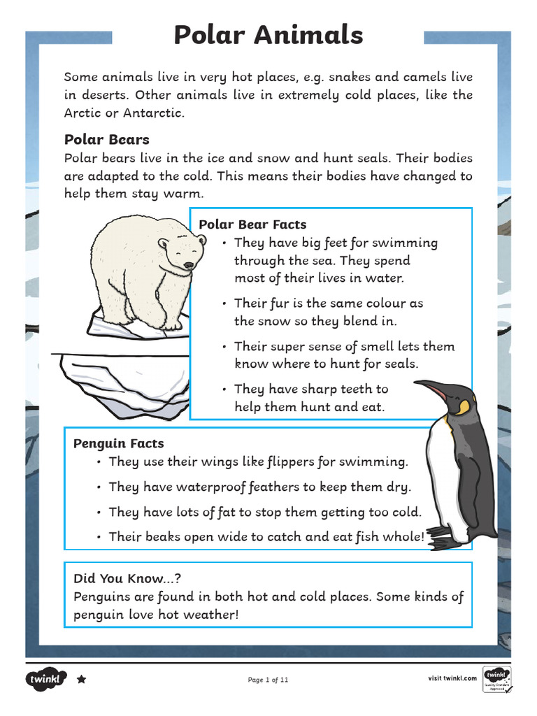 Polar Animals: Facts and Comprehension | PDF | Penguin | Polar Bear