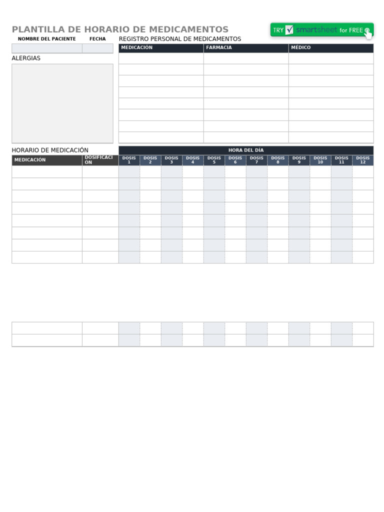 IC Medication Schedule Template 27219 - WORD - ES | PDF