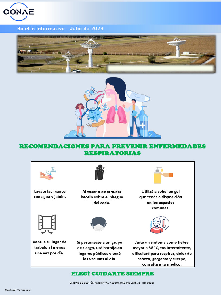 Boletín INF 07- Enfermedades Respiratorias | PDF