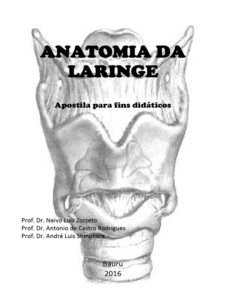 Anatomia da Laringe: Estruturas e Funções | PDF | Laringe | Anatomia humana