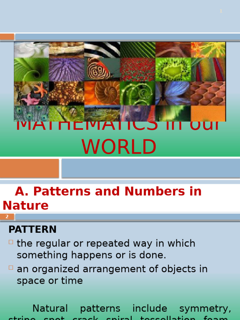 Patterns and Fibonacci in Nature | PDF | Pattern | Mathematics