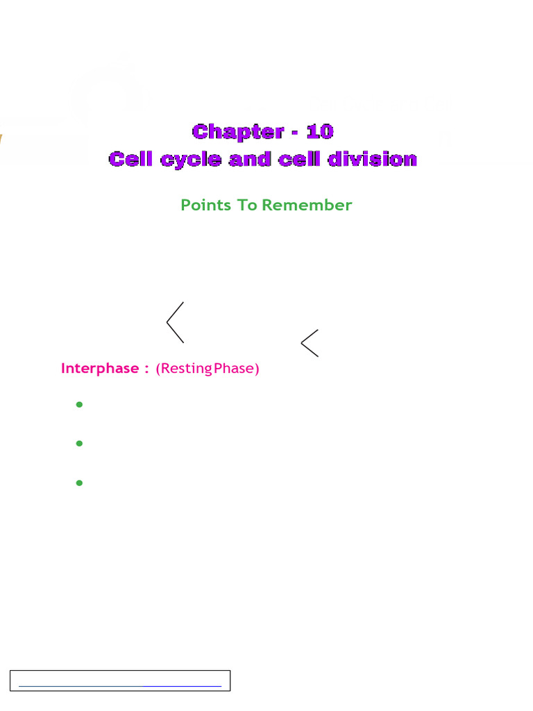 Cell Cycle and Division Explained | PDF | Mitosis | Meiosis