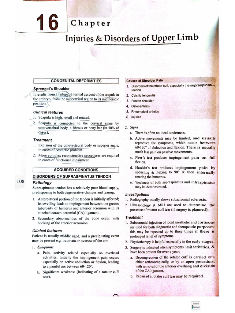 Shamim Notes Lower and Upper Fractures | PDF