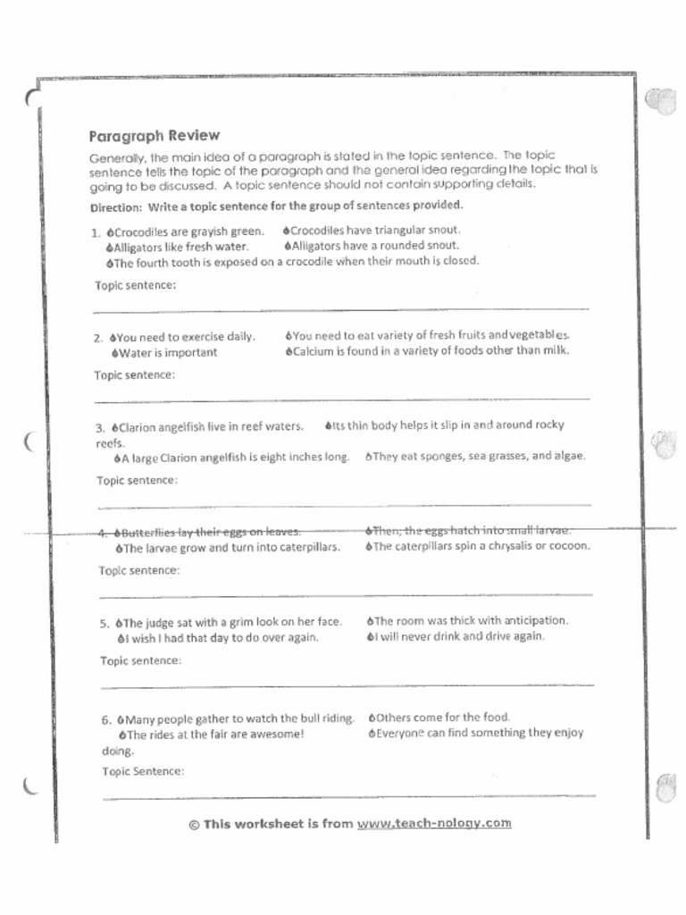 Worksheet 2 - Write Topic Sentences | PDF