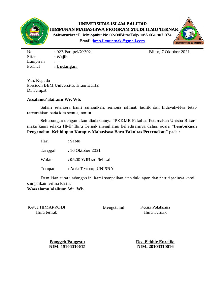 Surat Undangan BEM | PDF