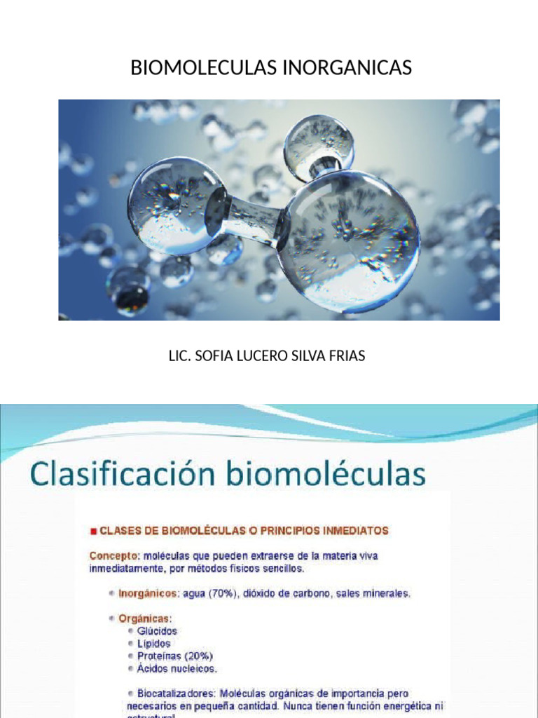 Biomoléculas Inorgánicas LIC. SOFIA | PDF
