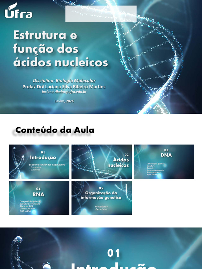 Aula 2 - Estrutura e Propriedades Dos Cidos Nucleicos ALTO CONTRASTE | PDF | RNA | DNA