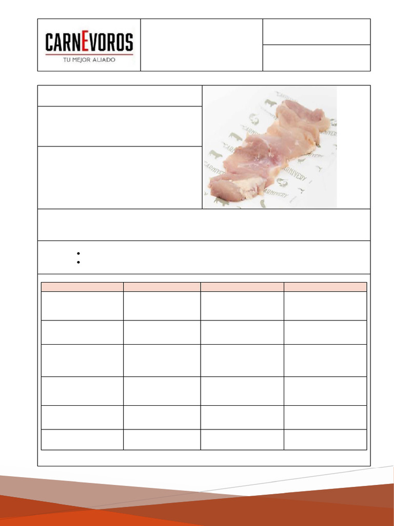 FT Filete de Muslo | PDF