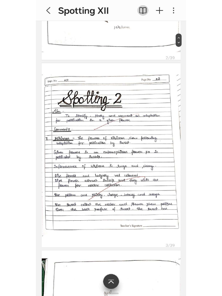 Screenshot - 20250109 - 193100 - Samsung Notes | PDF