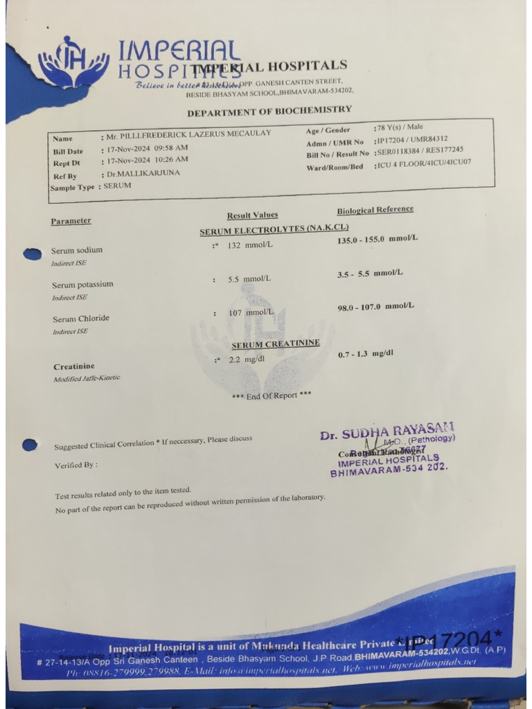 PDFReader 20241122 1128 | PDF