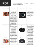 Grade 12 Life Science The Eye | PDF | Eye | Myopia