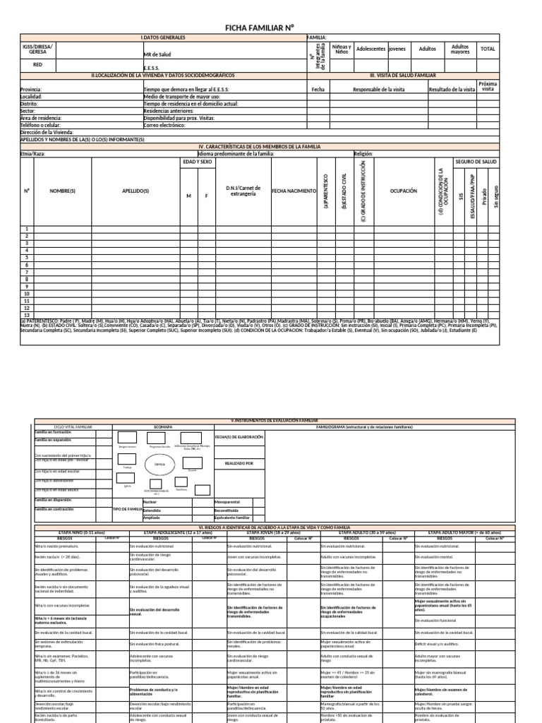 Ficha Familiar RM #204-2015 | PDF | Adultos | Mujer