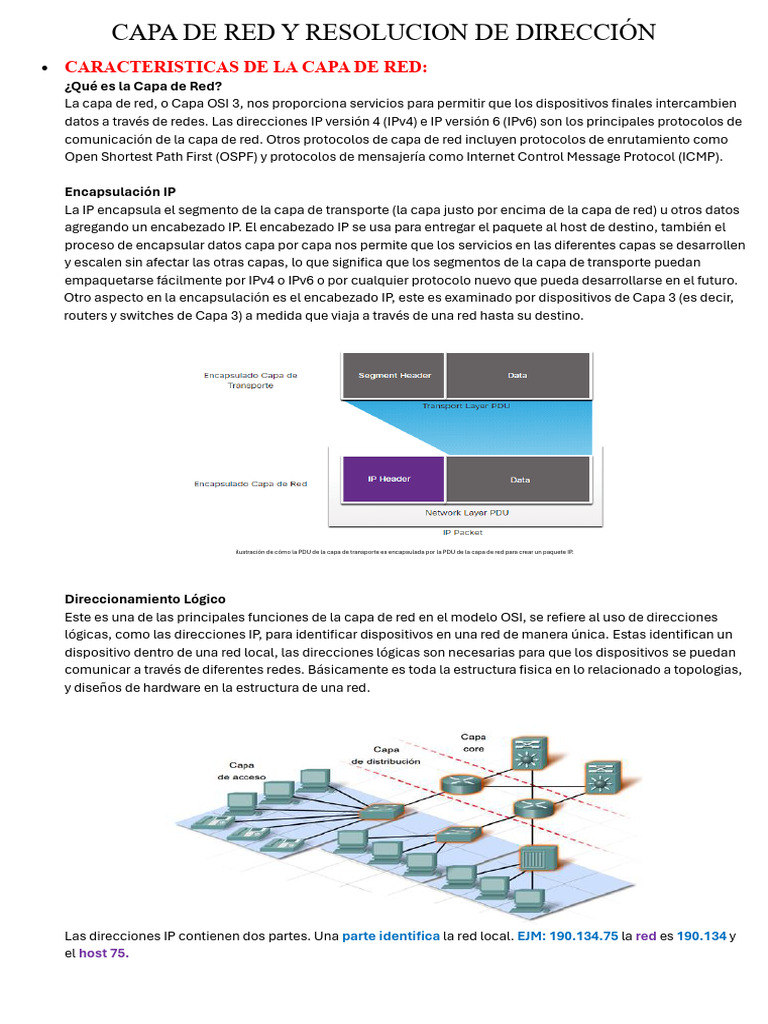 Caracteristicas de La Capa de Red | PDF | Protocolos de internet | Enrutador (Computación)