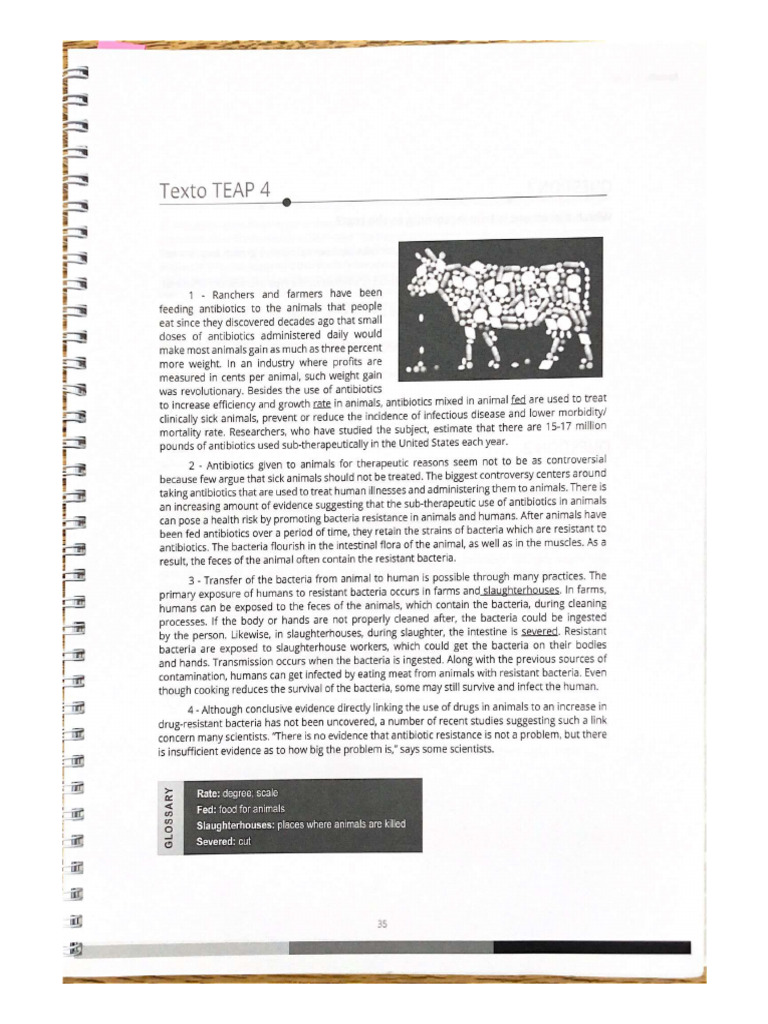 Modelo 6 TEAP | PDF