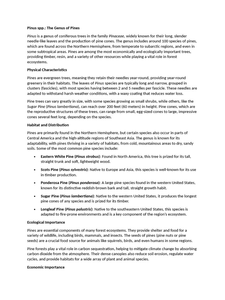 Pinus spp | PDF | Pine | Trees