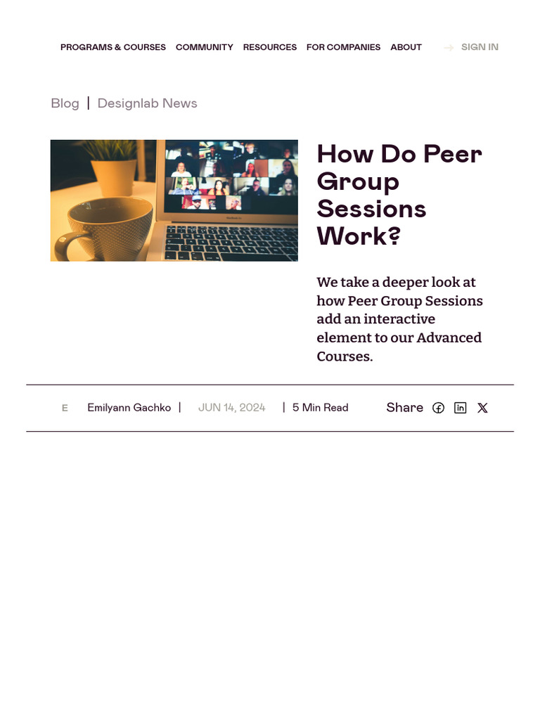 How Do Peer Group Sessions Work - Designlab | PDF | Mentorship | Learning