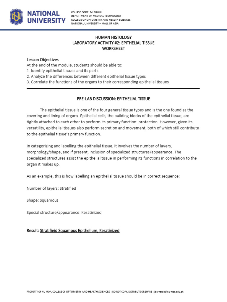 Lab. Act. #2 - Epithelial Tissue | PDF | Epithelium | Laboratory Techniques
