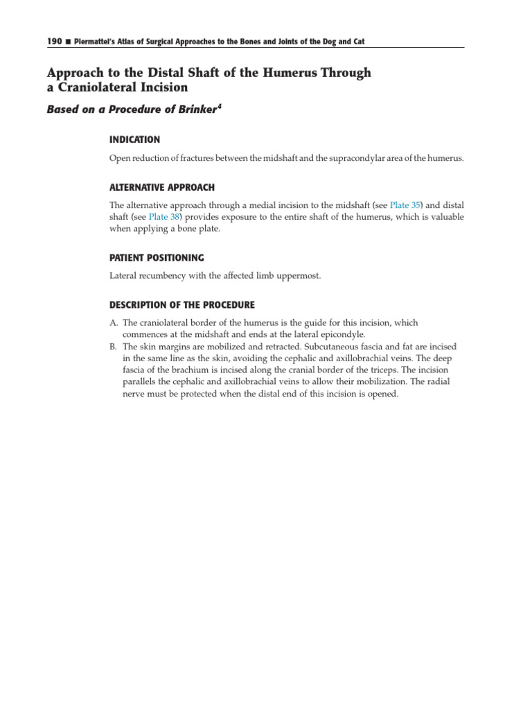 Acessos Laterais para A Diafise Distal Do Umero | PDF | Musculoskeletal ...
