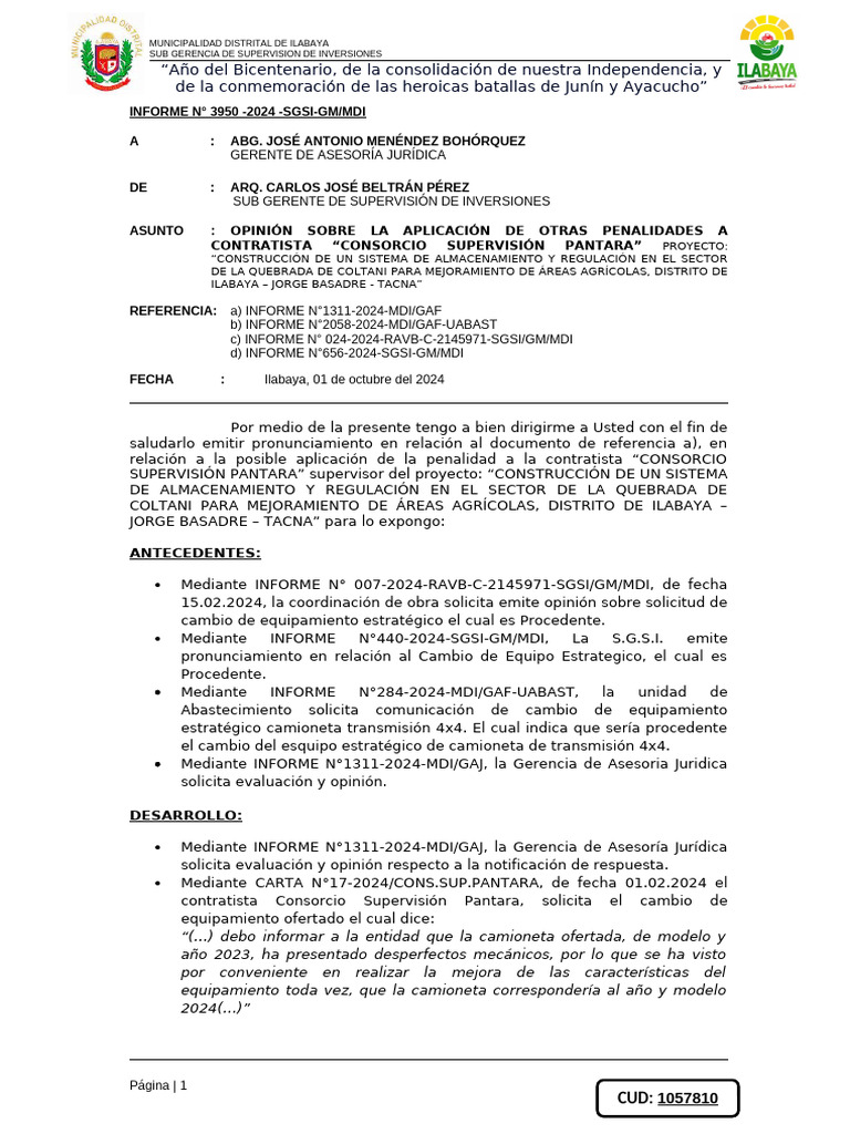 Informe N 3950 Sobre Penalidad | PDF