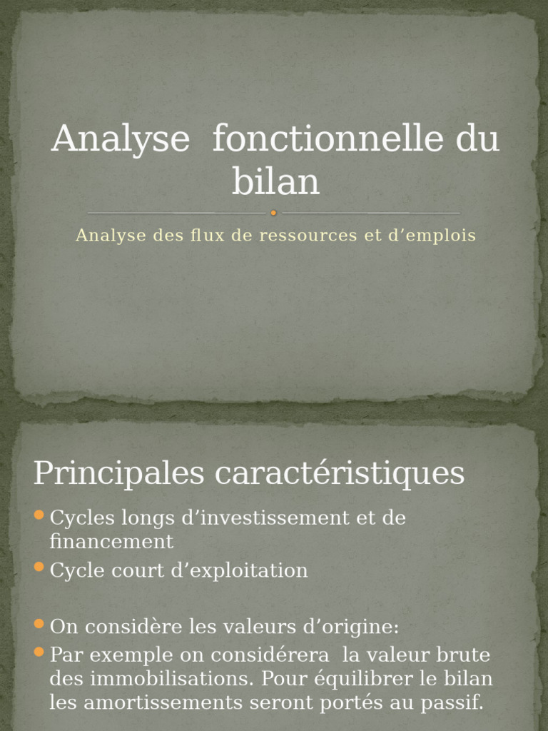 Analyse fonctionnelle du bilan (1) | PDF | Bilan comptable | Capitaux propres