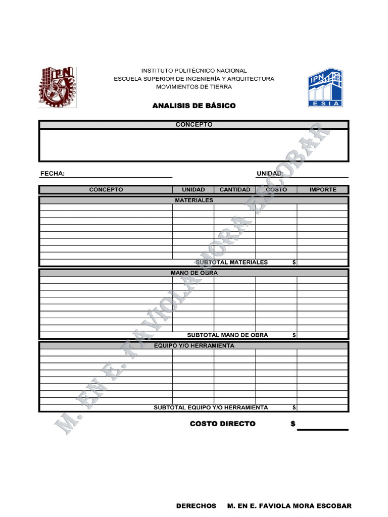 Formato Basico | PDF